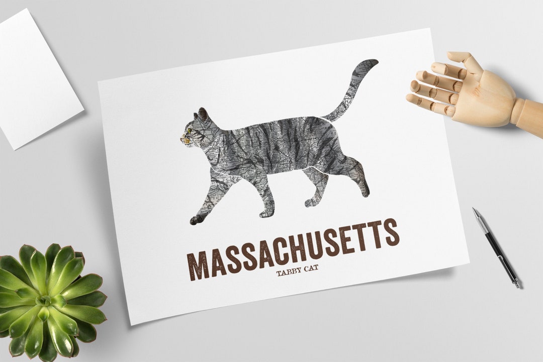 Massachusetts State Cat, Cat Print, Cat Art, Vintage Map Art, Art Print ...