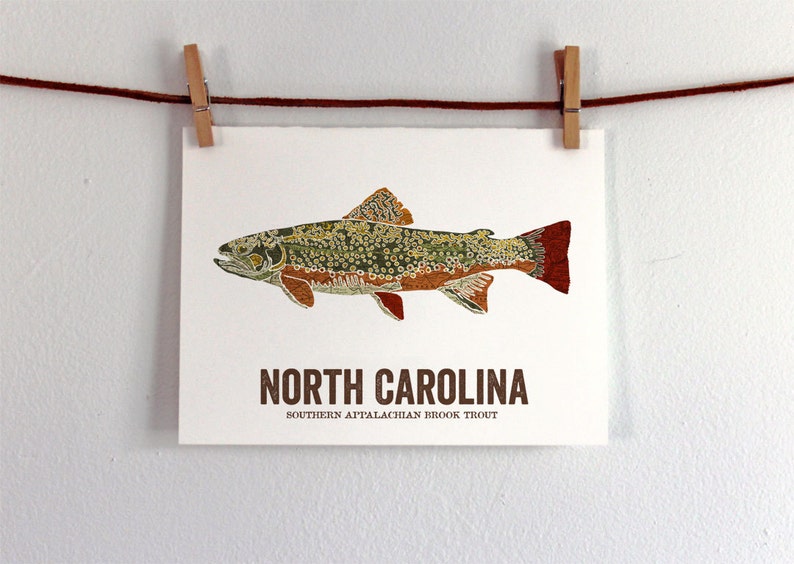 North Carolina State Fish, Map Art, Nature Outdoor Art, Cottage Art ...