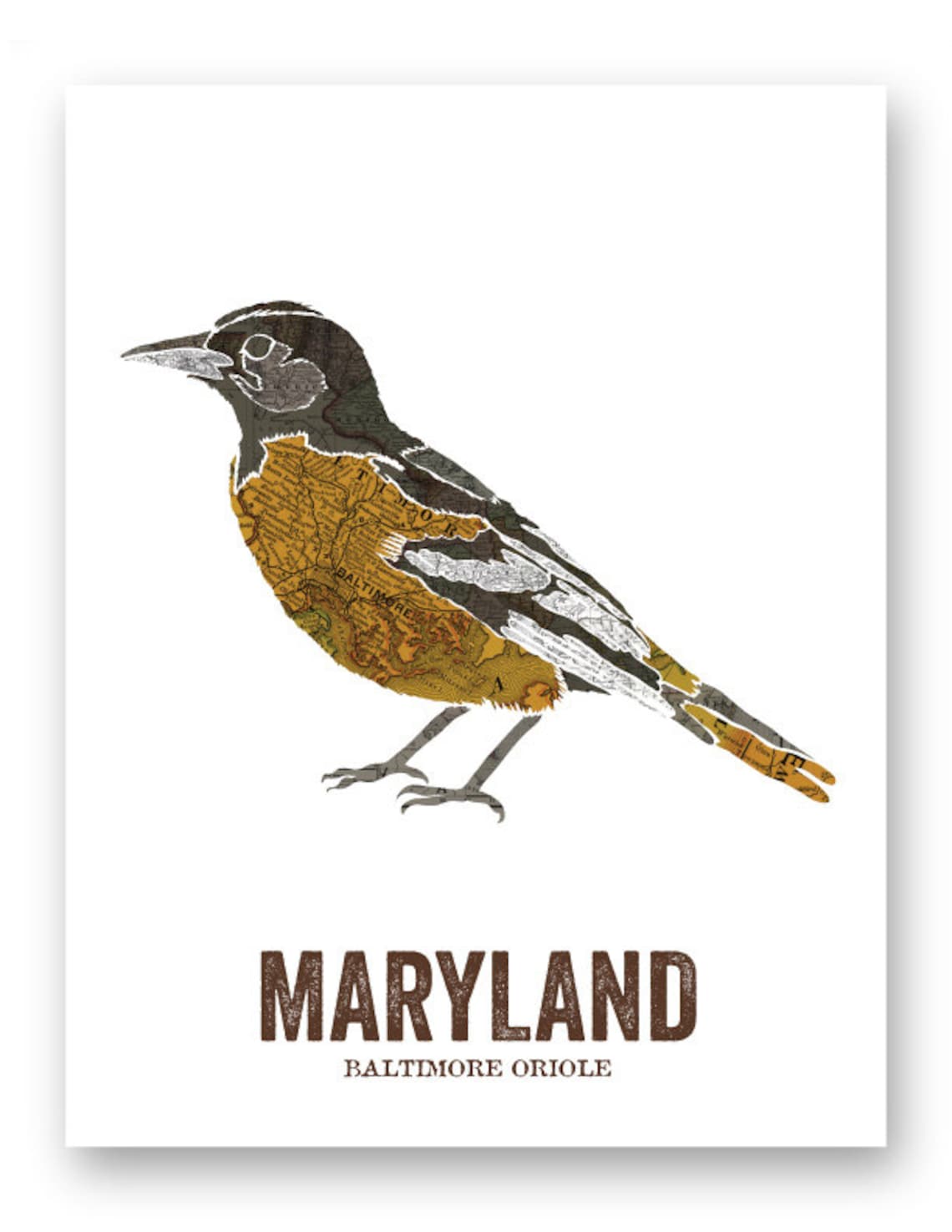 Maryland State Bird Nature Art Outdoor Art Vintage Map Art - Etsy