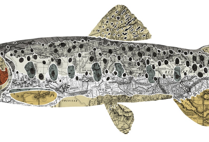 Utah State Fish Map Art Nature Outdoor Art Vintage Map Art - Etsy