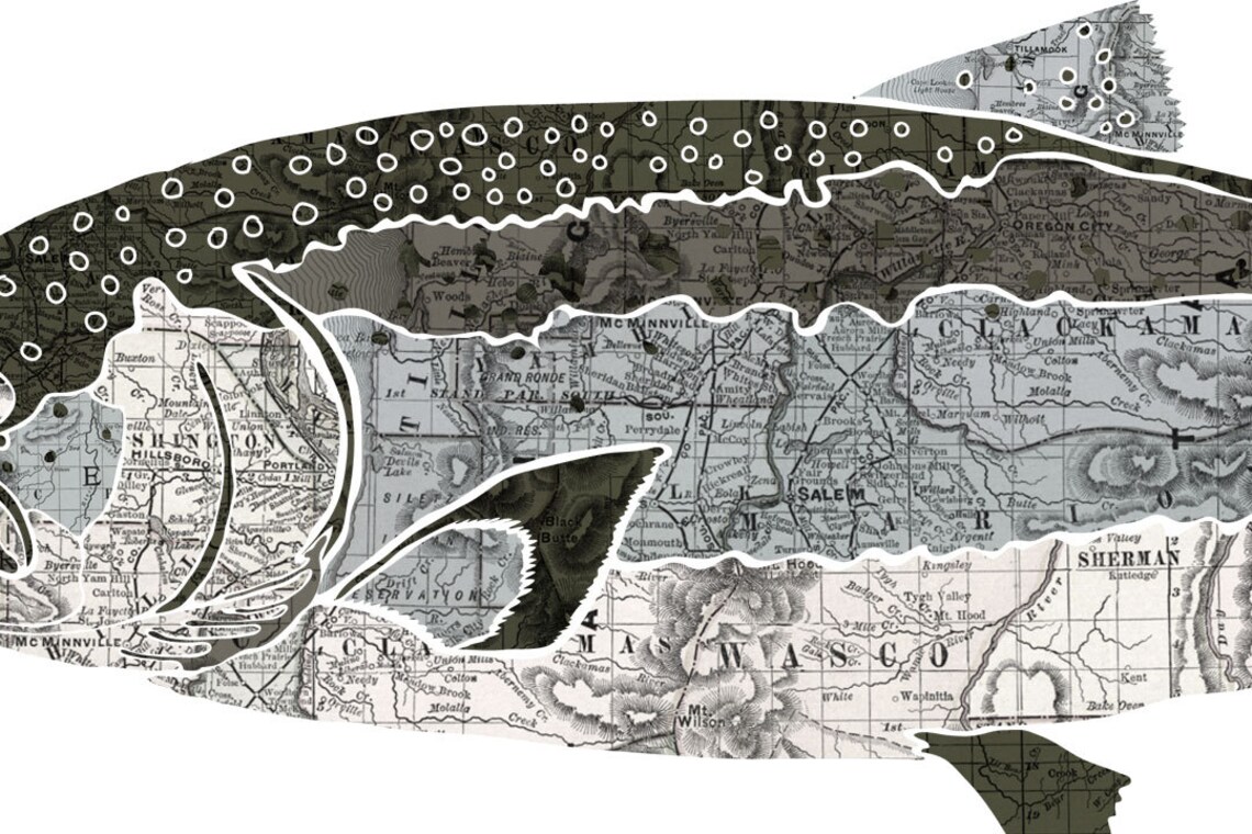 Oregon State Fish, Map Art, Nature Outdoor Art, Vintage Map Art, Art ...
