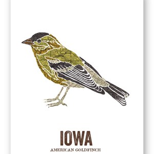 Iowa State Bird, Nature Art, Outdoor Art, Vintage Map Art, Art Print ...
