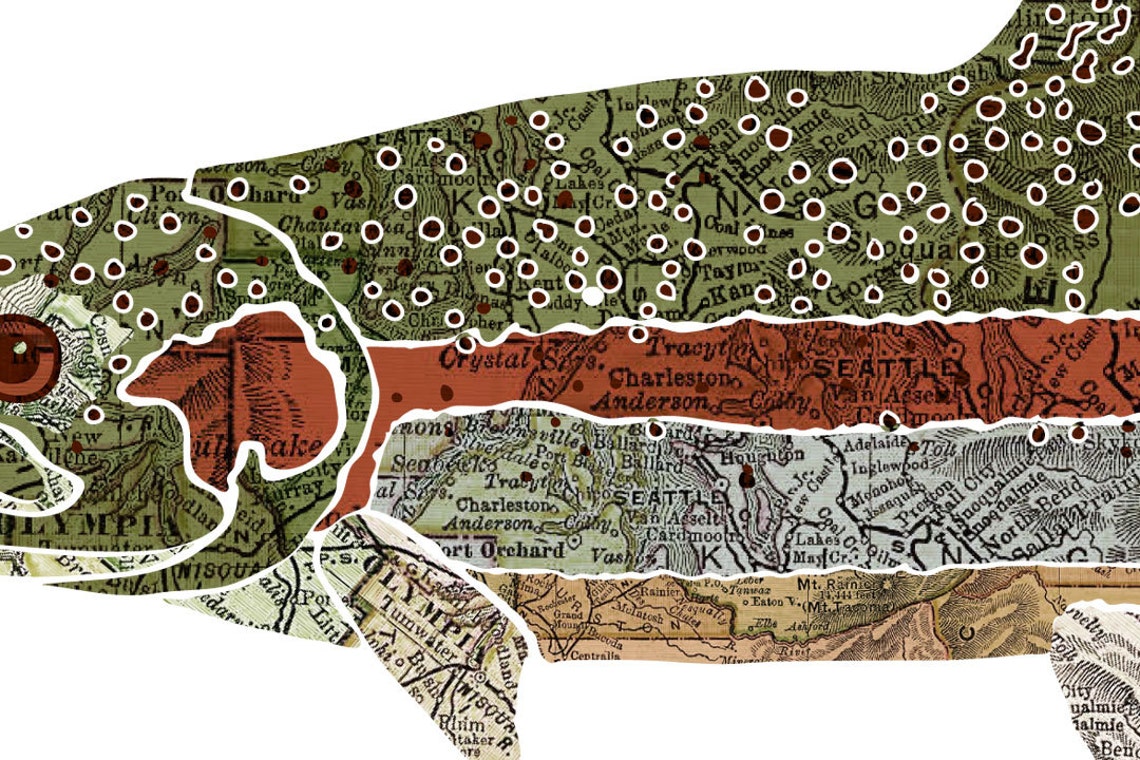Washington State Fish Map Art Nature Outdoor Art Cottage - Etsy