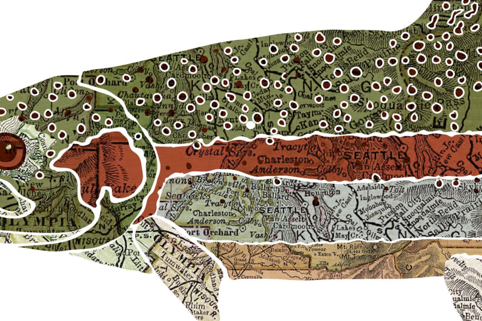 Washington State Fish Map Art Nature Outdoor Art Cottage - Etsy