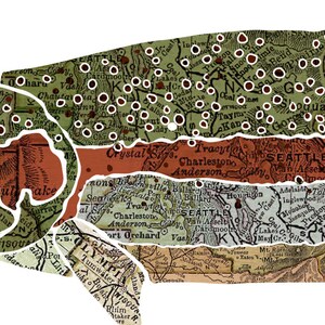 Washington State Fish, Map Art, Nature Outdoor Art, Cottage Art ...