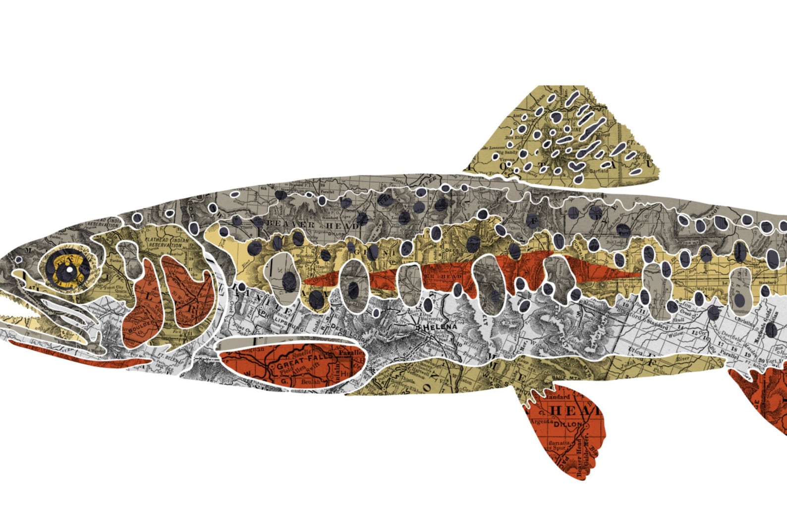 Montana State Fish Nature Art Outdoor Art Vintage Map Art - Etsy