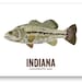 Indiana State Fish, Map Art, Nature Outdoor Art, Vintage Map Art, Art ...