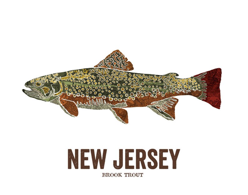 New Jersey State Fish Nature Art Outdoor Art Vintage Map - Etsy
