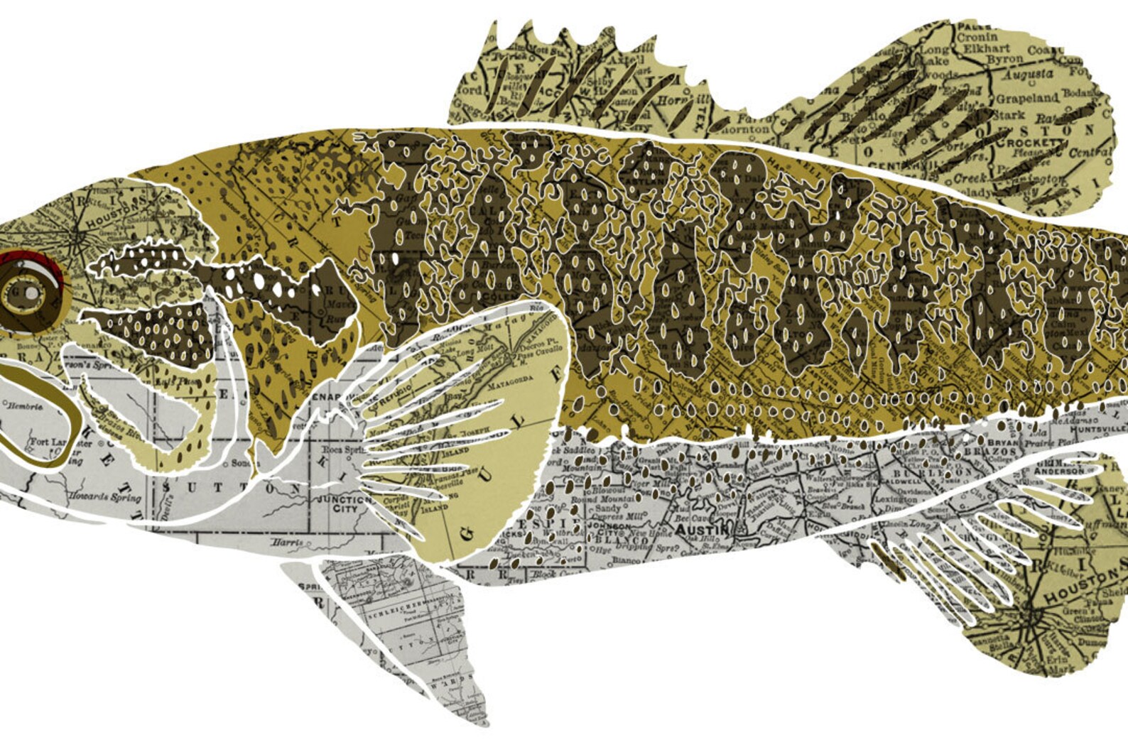 Texas State Fish Map Art Nature Outdoor Art Vintage Map - Etsy