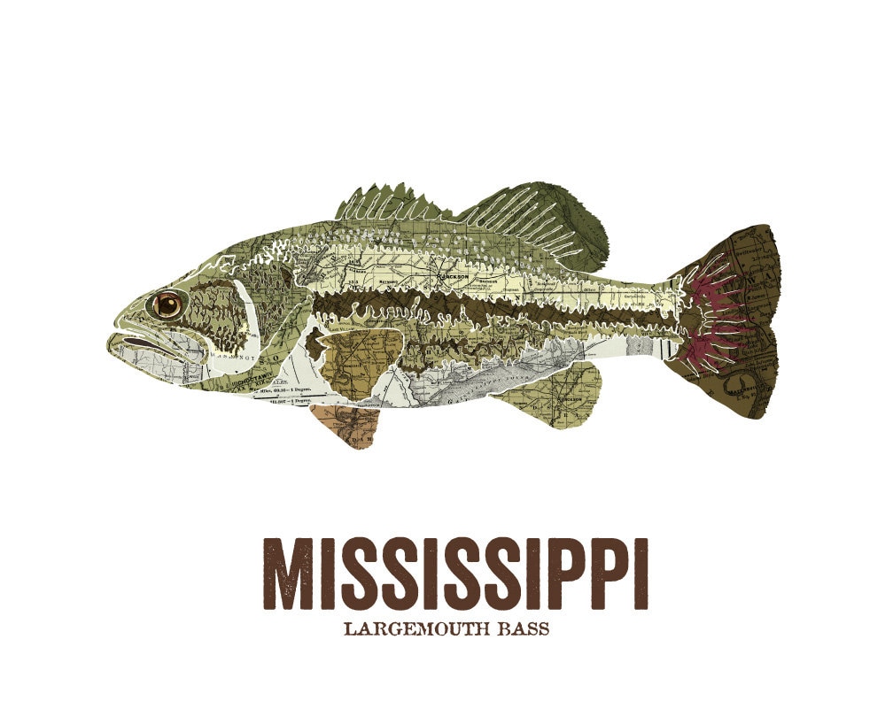 Mississippi State Fish Map Art Nature Outdoor Art Vintage | Etsy
