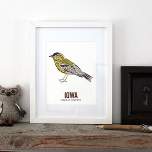 Iowa State Bird, Nature Art, Outdoor Art, Vintage Map Art, Art Print ...