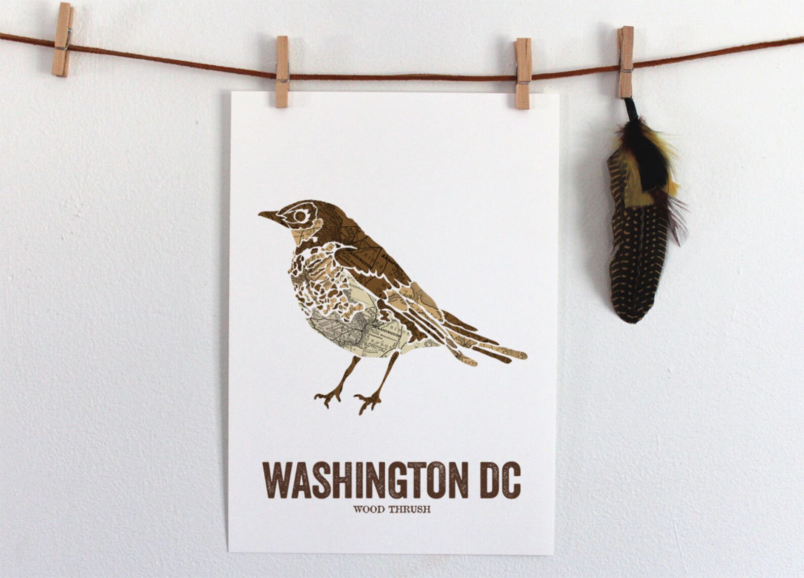 Washington DC Bird Nature Art Outdoor Art Vintage Map Art - Etsy
