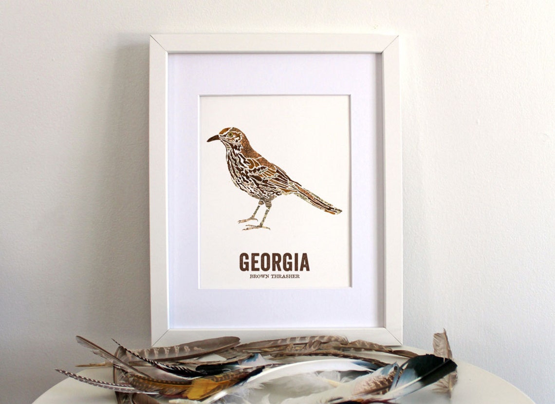 Georgia State Bird Nature Art Outdoor Art Vintage Map Art | Etsy