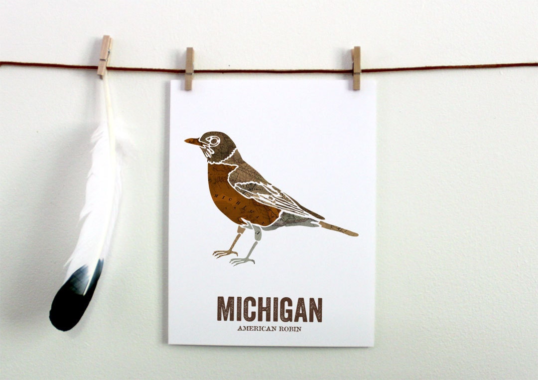Michigan State Bird, Nature Art, Outdoor Art, Vintage Map Art, Art ...