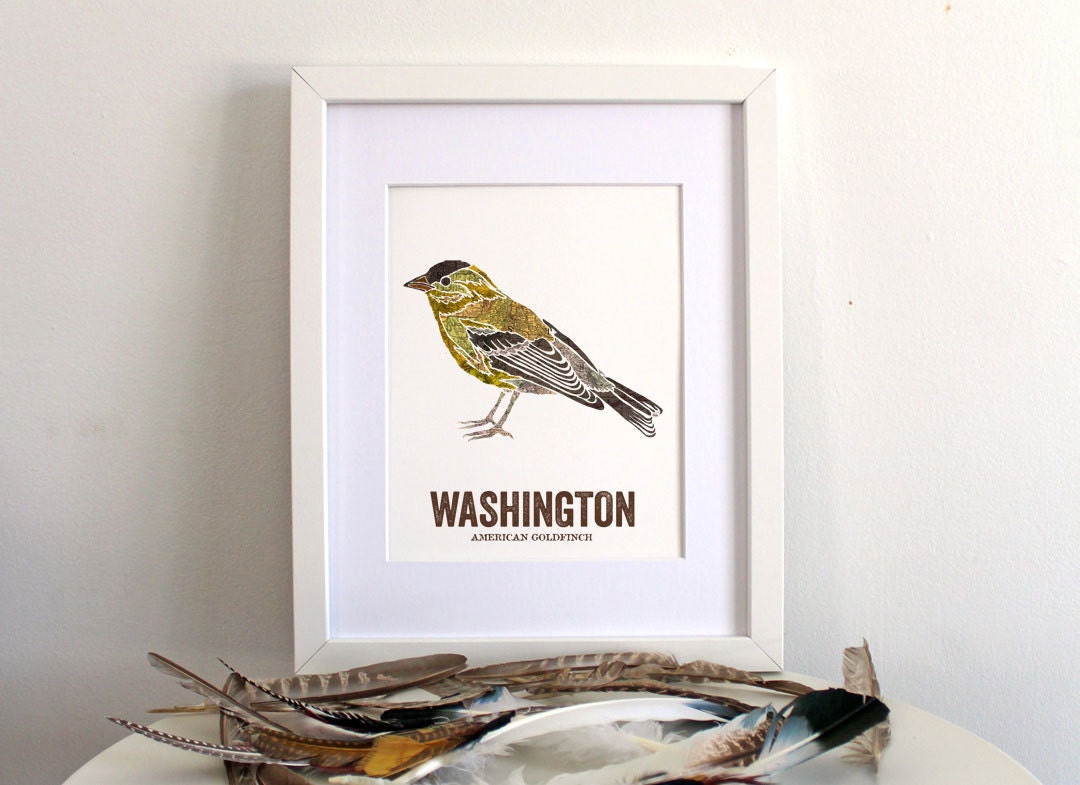 Washington State Bird, Nature Art, Outdoor Art, Vintage Map Art, Art ...