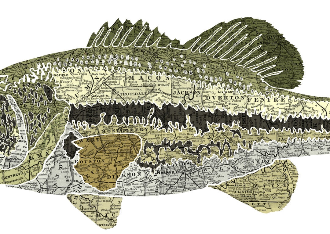 Tennessee State Fish Map Art Nature Outdoor Art Vintage Map - Etsy