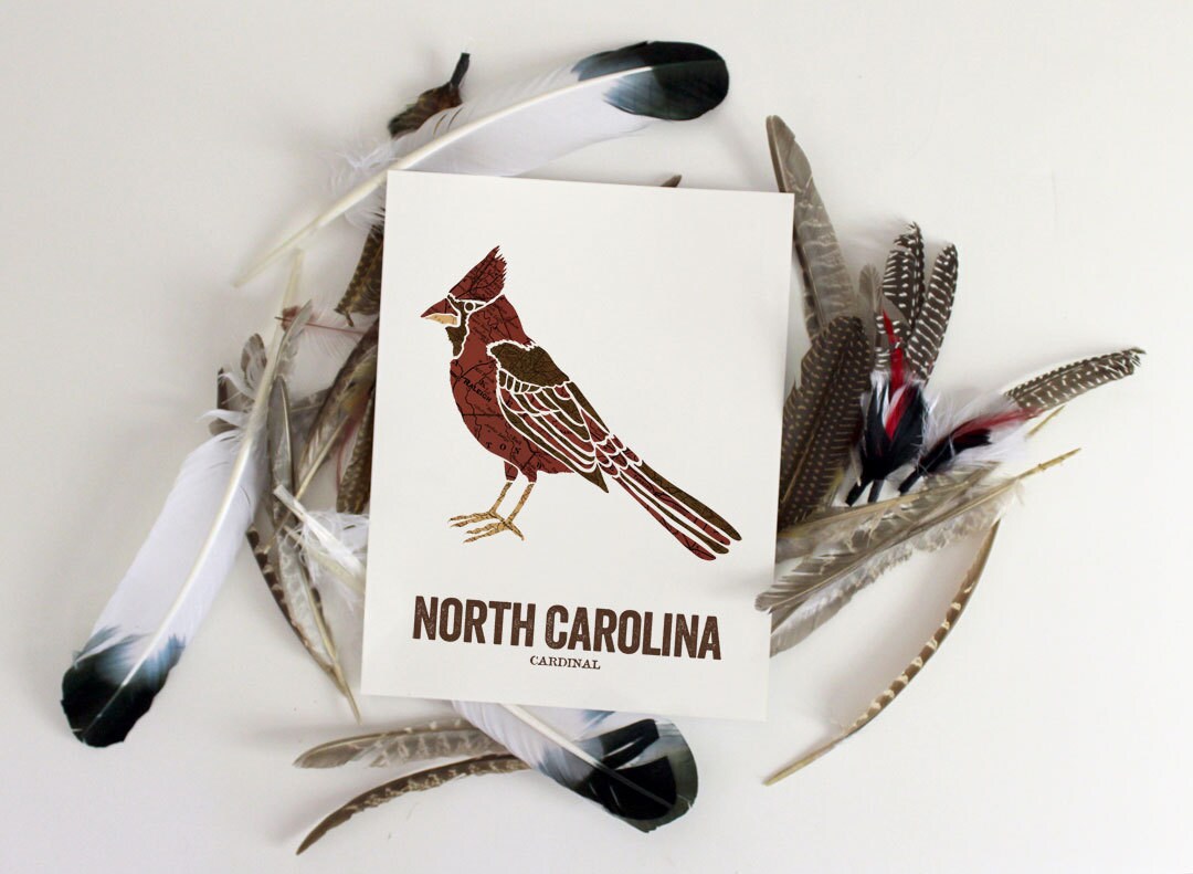 North Carolina State Bird, Nature Art, Outdoor Art, Vintage Map Art ...
