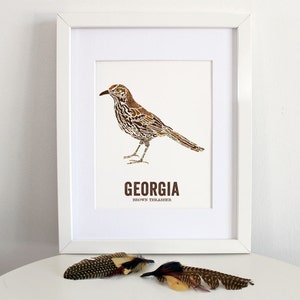 Georgia State Bird, Nature Art, Outdoor Art, Vintage Map Art, Art Print ...