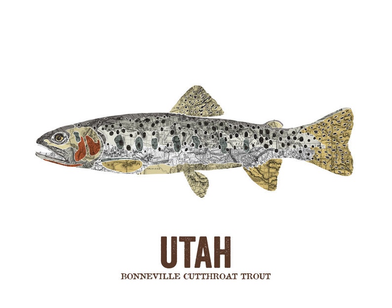 Utah State Fish, Map Art, Nature Outdoor Art, Vintage Map Art, Art ...