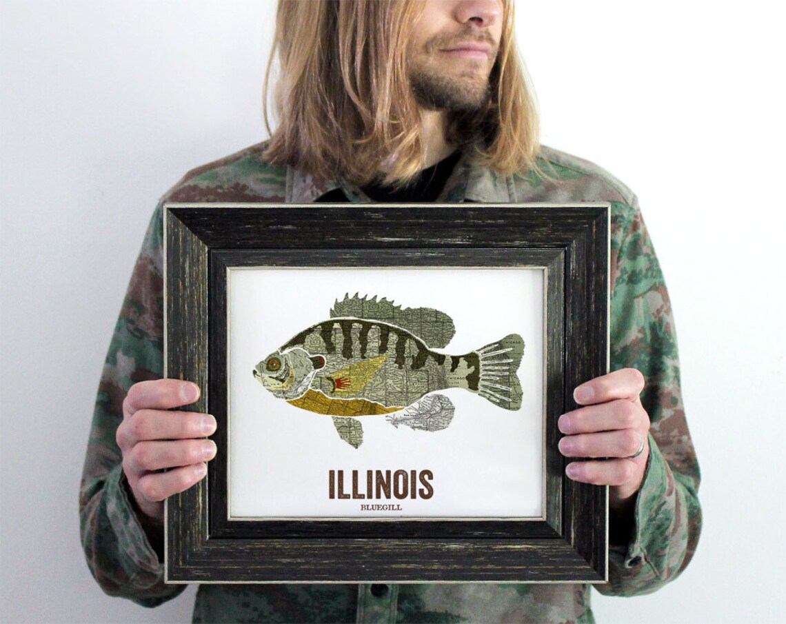 Illinois State Fish, Map Art, Nature Outdoor Art, Vintage Map Art, Art ...