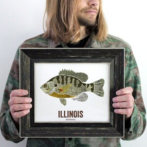 Illinois State Fish, Map Art, Nature Outdoor Art, Vintage Map Art, Art ...