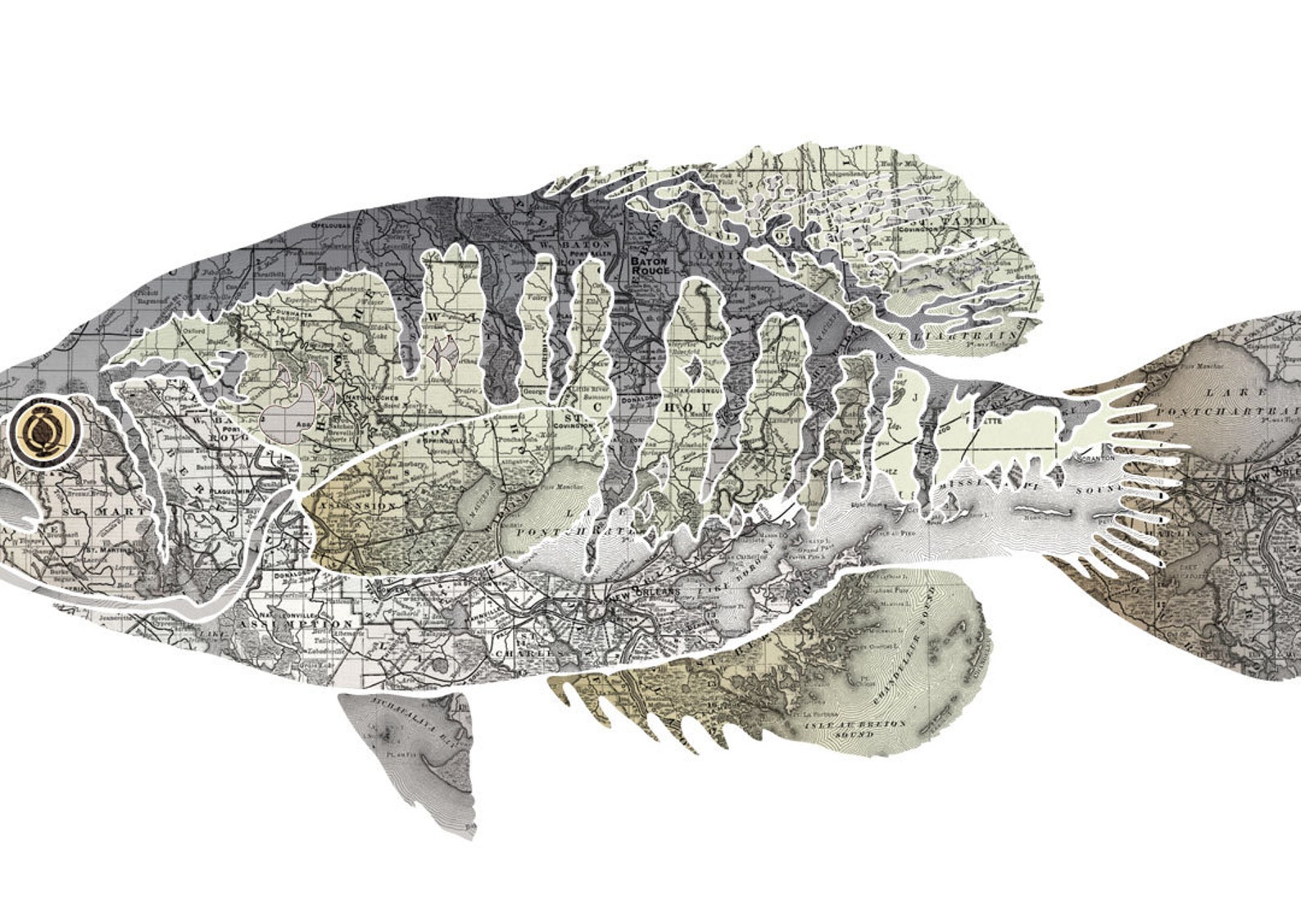 Louisiana State Fish, Map Art, Nature Outdoor Art, Vintage Map Art, Art ...