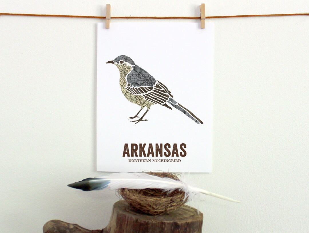 Arkansas State Bird, Nature Art, Outdoor Art, Vintage Map Art, Art ...