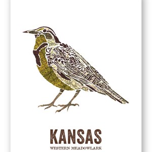 Kansas State Bird, Nature Art, Outdoor Art, Vintage Map Art, Art Print ...