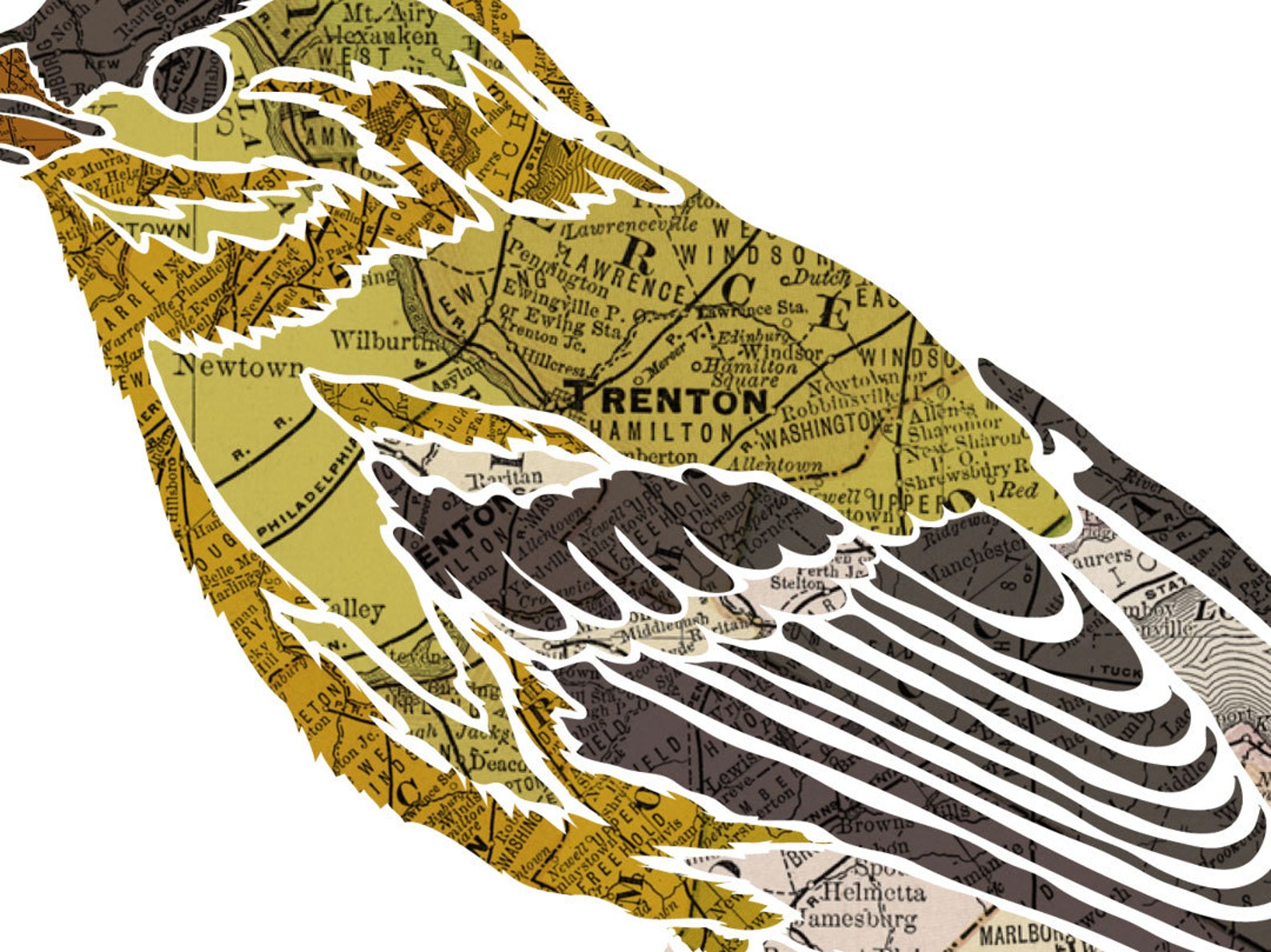 American Goldfinch Art Print, New Jersey State Bird, Vintage Map - Etsy