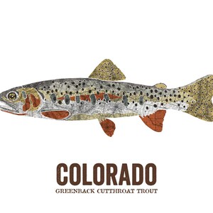 Colorado State Fish, Map Art, Nature Outdoor Art, Vintage Map Art, Art ...