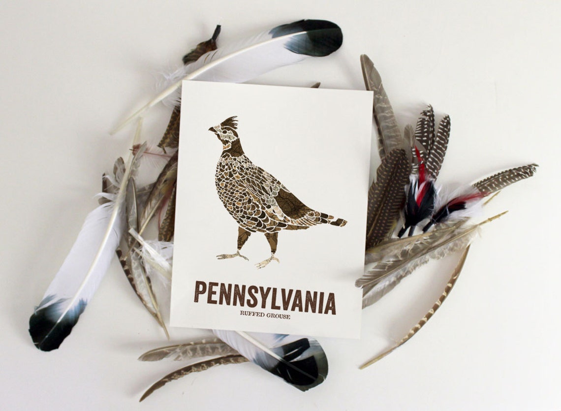 Pennsylvania State Bird Nature Art Outdoor Art Vintage Map - Etsy