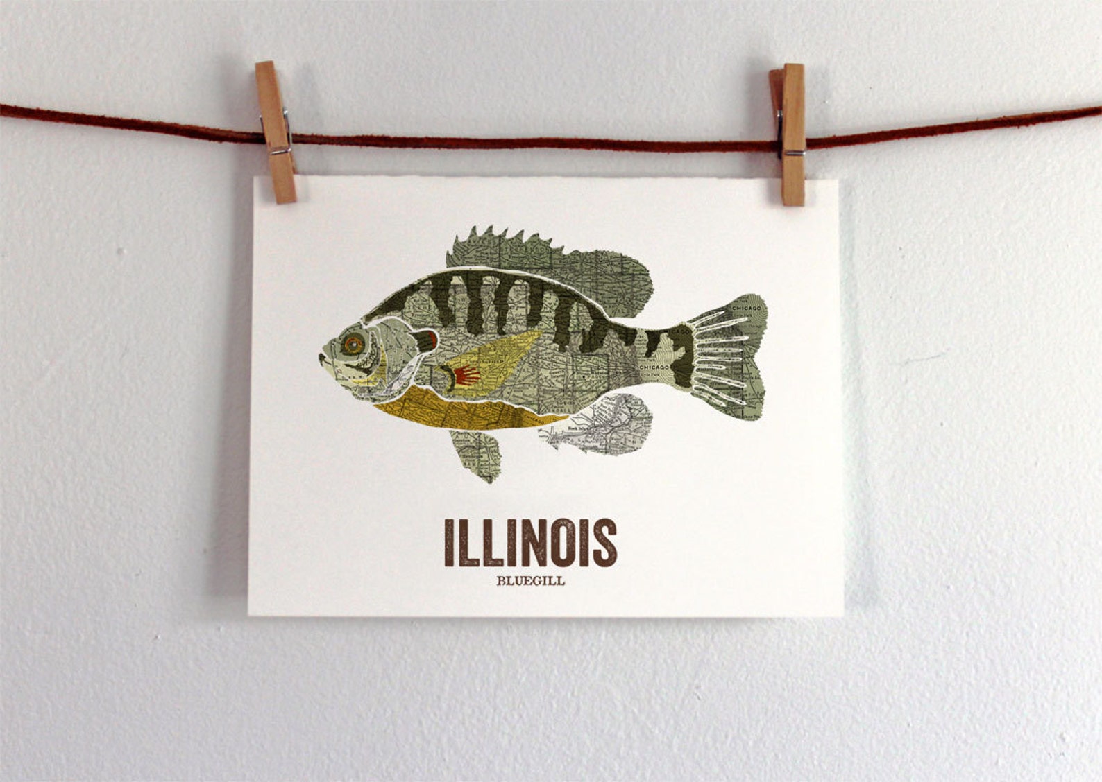 Illinois State Fish, Map Art, Nature Outdoor Art, Vintage Map Art, Art ...