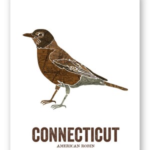 Connecticut State Bird, Nature Art, Outdoor Art, Vintage Map Art, Art ...