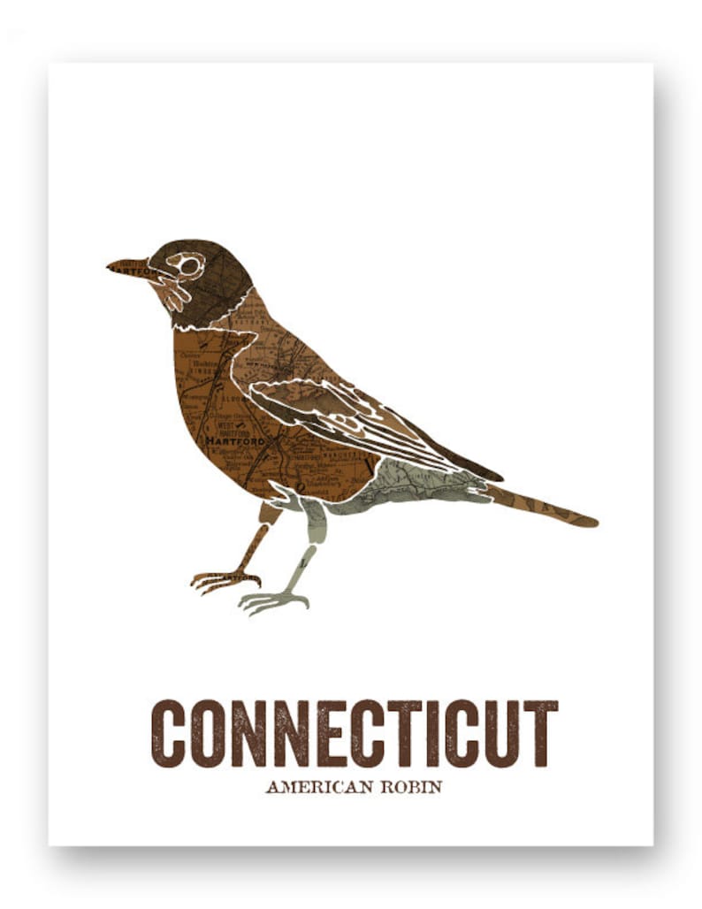 American Robin Art Print, Connecticut Map, Rustic Wall Decor - Etsy
