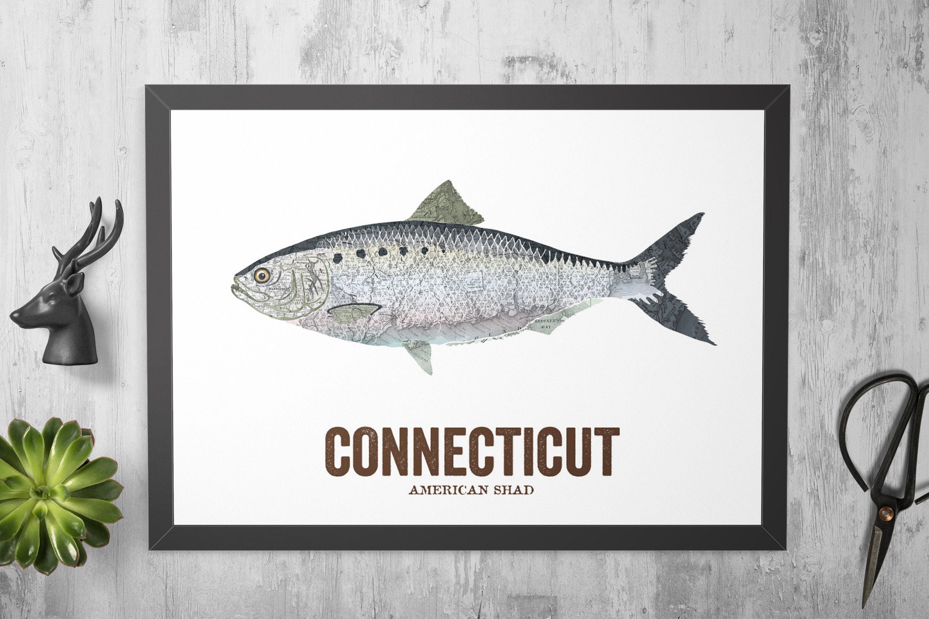 Connecticut State Fish Map Art Nature Outdoor Art Vintage | Etsy