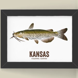 Kansas State Fish, Map Art, Nature Outdoor Art, Vintage Map Art, Art ...