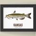 Kansas State Fish Map Art Nature Outdoor Art Vintage Map - Etsy
