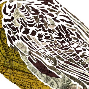 Oregon State Bird, Nature Art, Outdoor Art, Vintage Map Art, Art Print ...