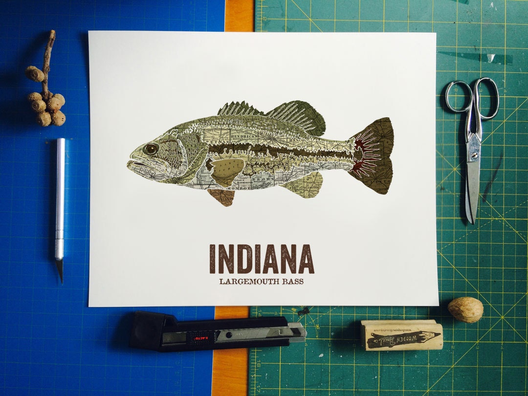 Indiana State Fish, Map Art, Nature Outdoor Art, Vintage Map Art, Art ...