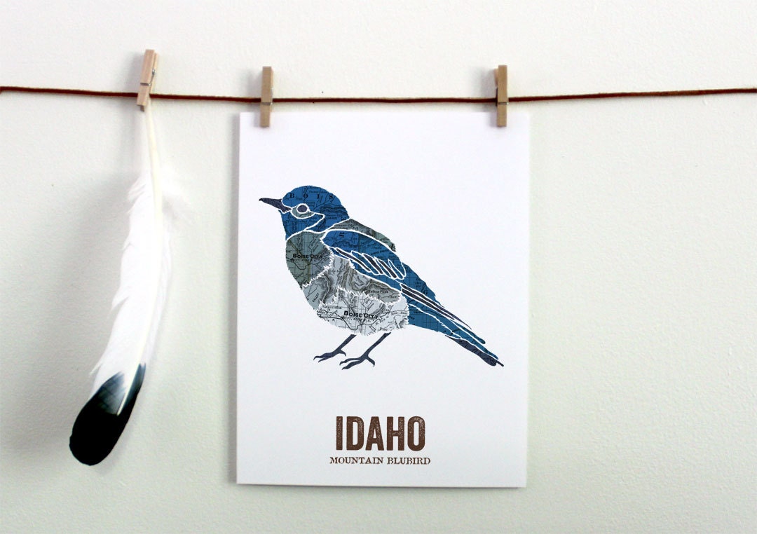 Idaho State Bird, Nature Art, Outdoor Art, Vintage Map Art, Art Print ...