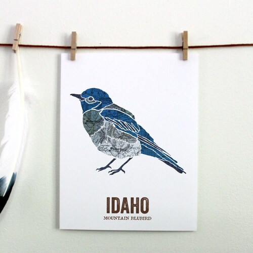 Nevada State Bird Art Print Nevada Mountain Bluebird and - Etsy