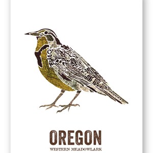 Oregon State Bird, Nature Art, Outdoor Art, Vintage Map Art, Art Print ...