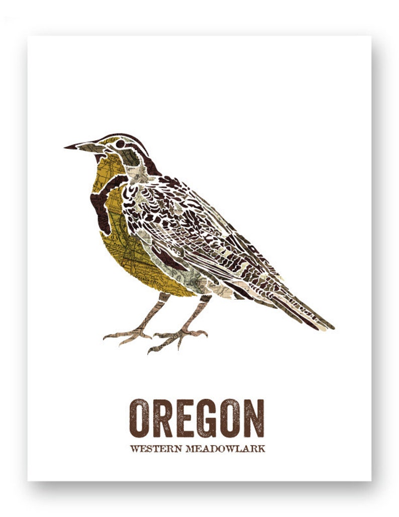 Oregon State Bird, Nature Art, Outdoor Art, Vintage Map Art, Art Print ...