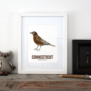 Connecticut State Bird, Nature Art, Outdoor Art, Vintage Map Art, Art ...