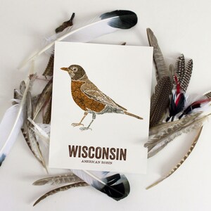 Wisconsin State Bird, Nature Art, Outdoor Art, Vintage Map Art, Art ...