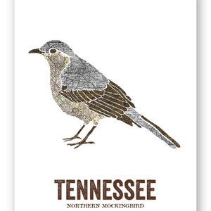 Tennessee State Bird, Nature Art, Outdoor Art, Vintage Map Art, Art ...