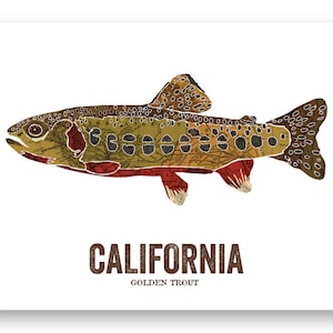 California State Fish, Map Art, Nature Outdoor Art, Vintage Map Art ...