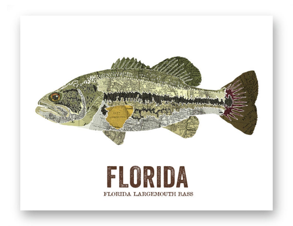 Florida State Fish Map Art Nature Outdoor Art Vintage Map - Etsy