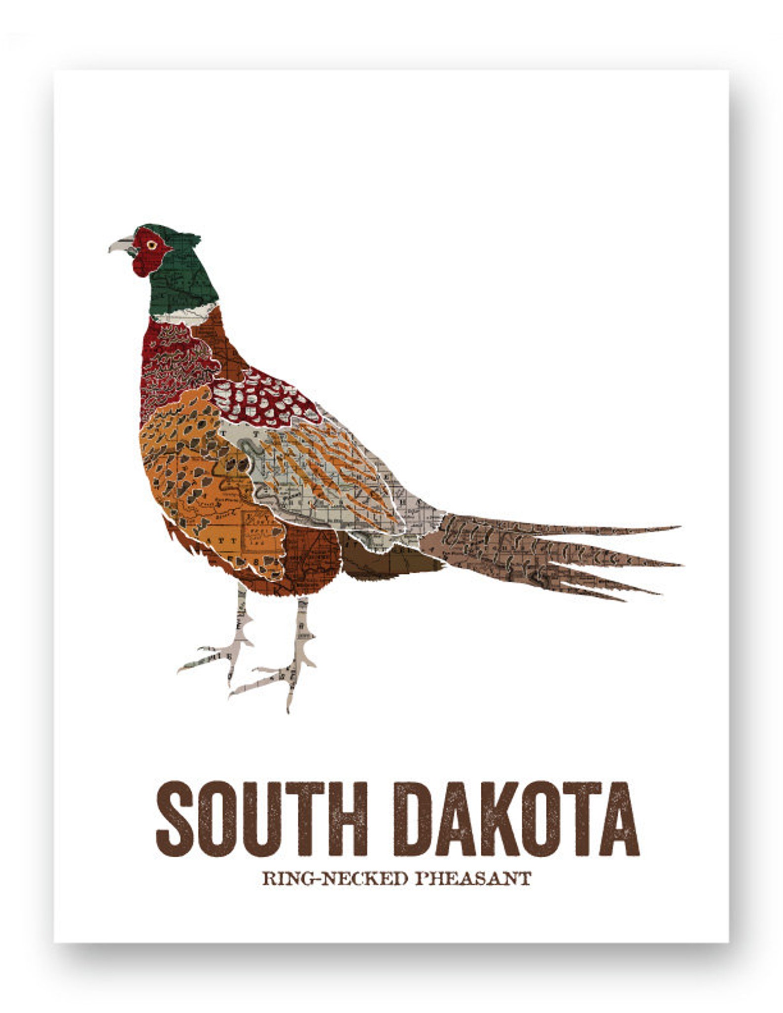 South Dakota State Bird Nature Art Outdoor Art Vintage Map - Etsy