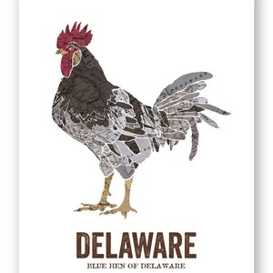 Delaware State Bird, Nature Art, Outdoor Art, Vintage Map Art, Art ...